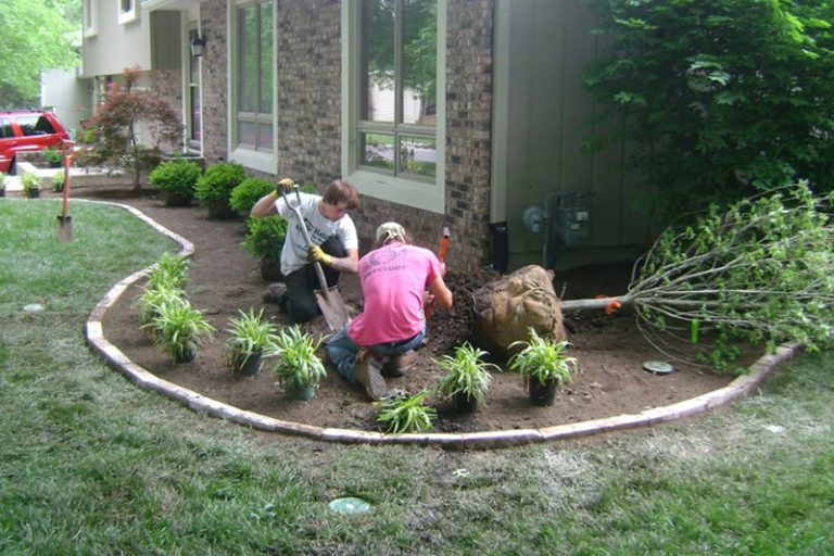 Seasonal Guide - Dirt Clods Landscaping